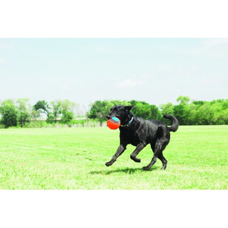 ROPE FETCH